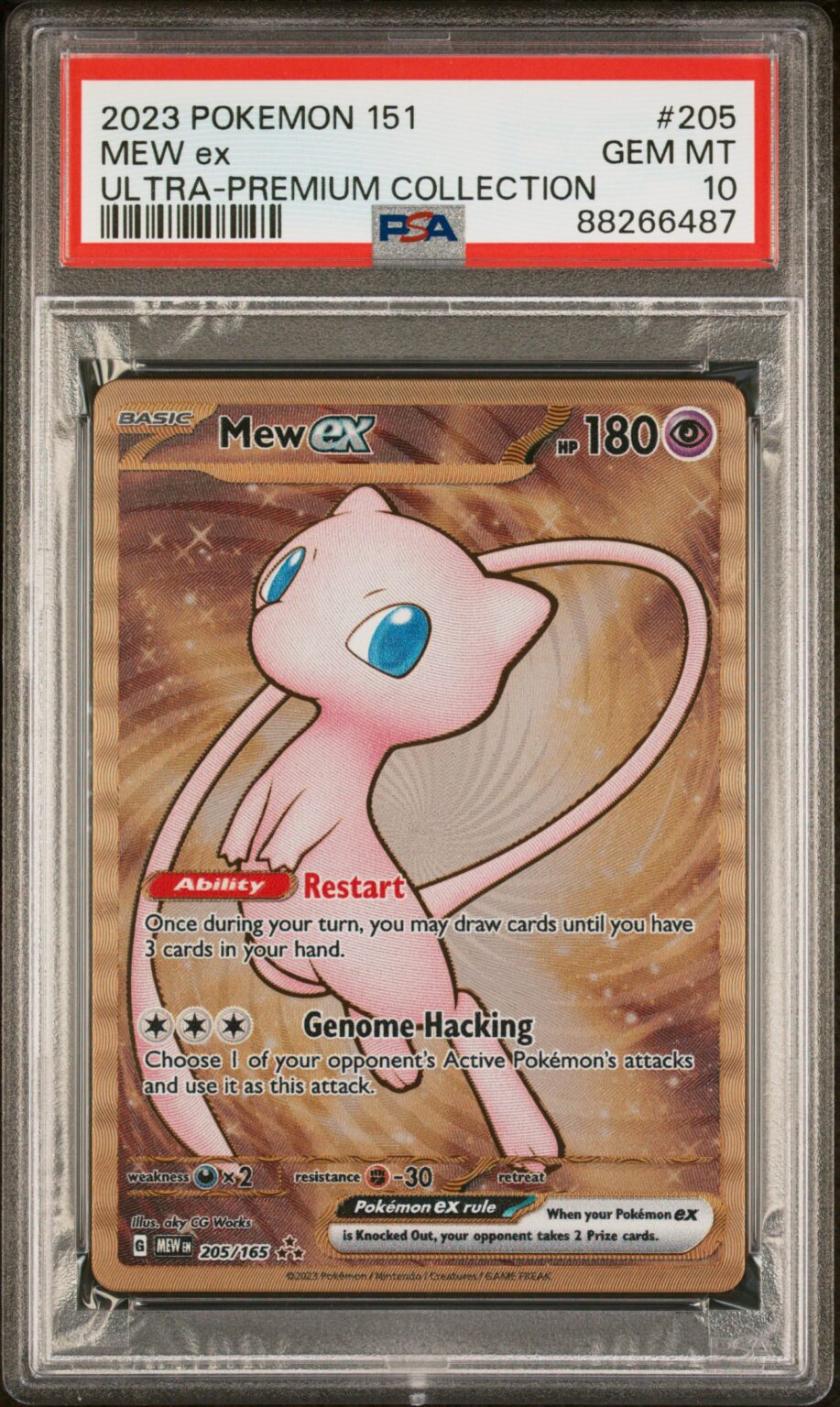 Graded Cards – Buy Pokemon Cards | Official Product & New Releases | In ...